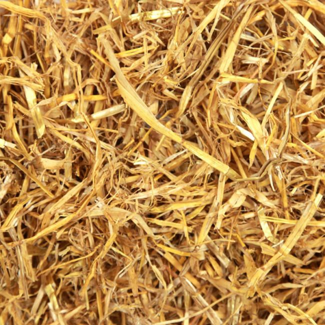 Straw Bedding for rabbits | Soft & Golden | Large 1.8kg