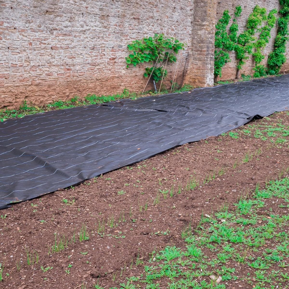 Heavy Duty Weed Control Ground Cover Membrane - 2m x 10m Roll