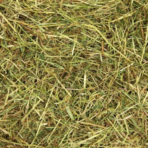Devon Meadow Hay | Large 1.8kg Bale | Premium Pet Food