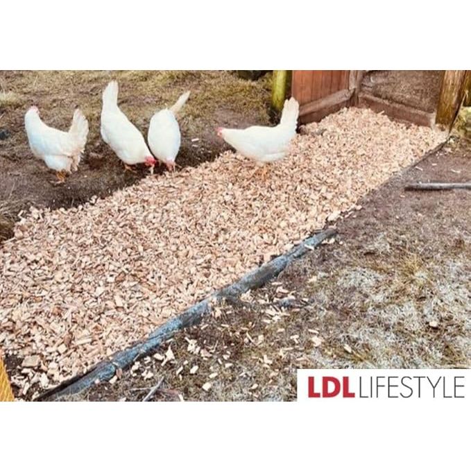 Chicken Wood Chips | Dry & Dust Free | Poultry Bedding